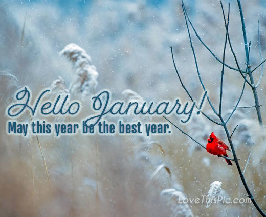May This Year Be The Best Year Pictures, Photos, and Images for ...