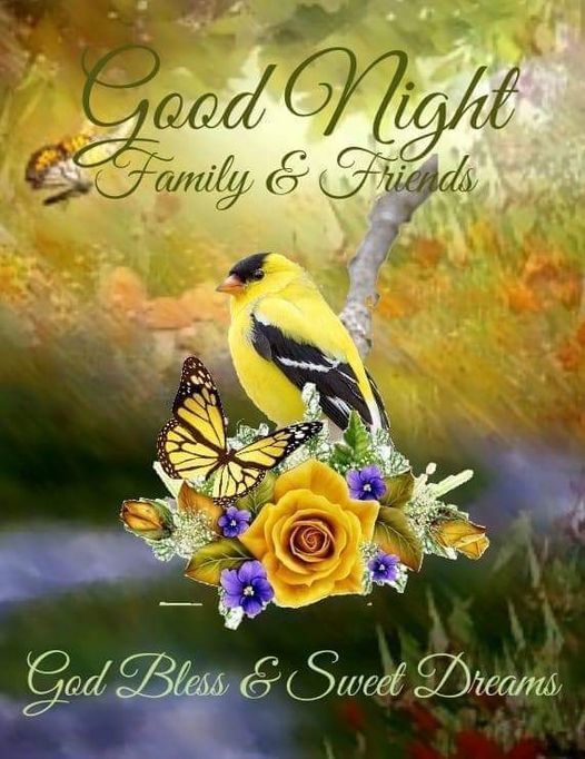 Good Night Family & Friends, God Bless & Sweet Dreams Pictures, Photos ...
