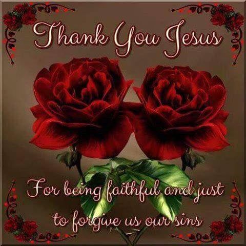 Red Rose - Thank You Jesus Pictures, Photos, and Images for Facebook ...