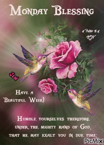 Hummingbird Monday Blessing Gifs Pictures, Photos, and Images for ...