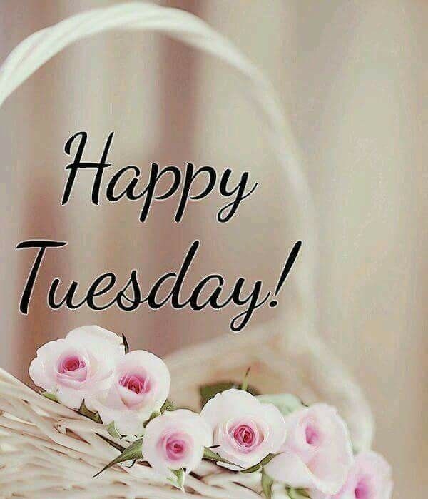 Roses In Basket - Happy Tuesday Pictures, Photos, and Images for ...