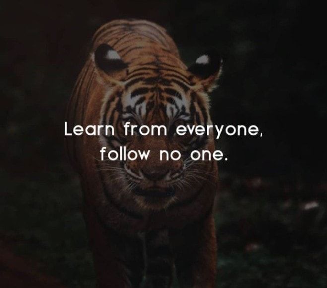Learn From Everyone. Follow No One. Pictures, Photos, and Images for ...