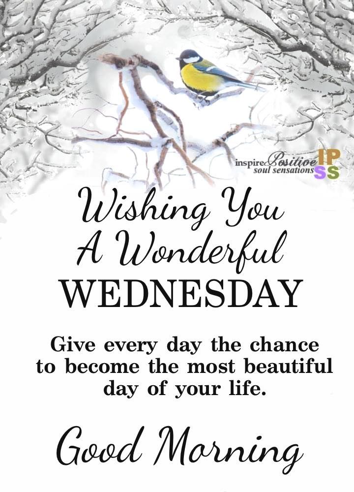 Wonderful Wednesday Quotes