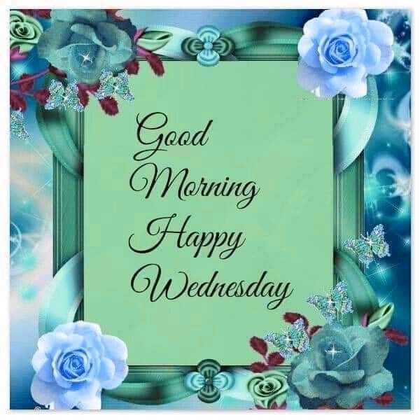 Blue Rose Good Morning, Happy Wednesday Pictures, Photos, and Images ...