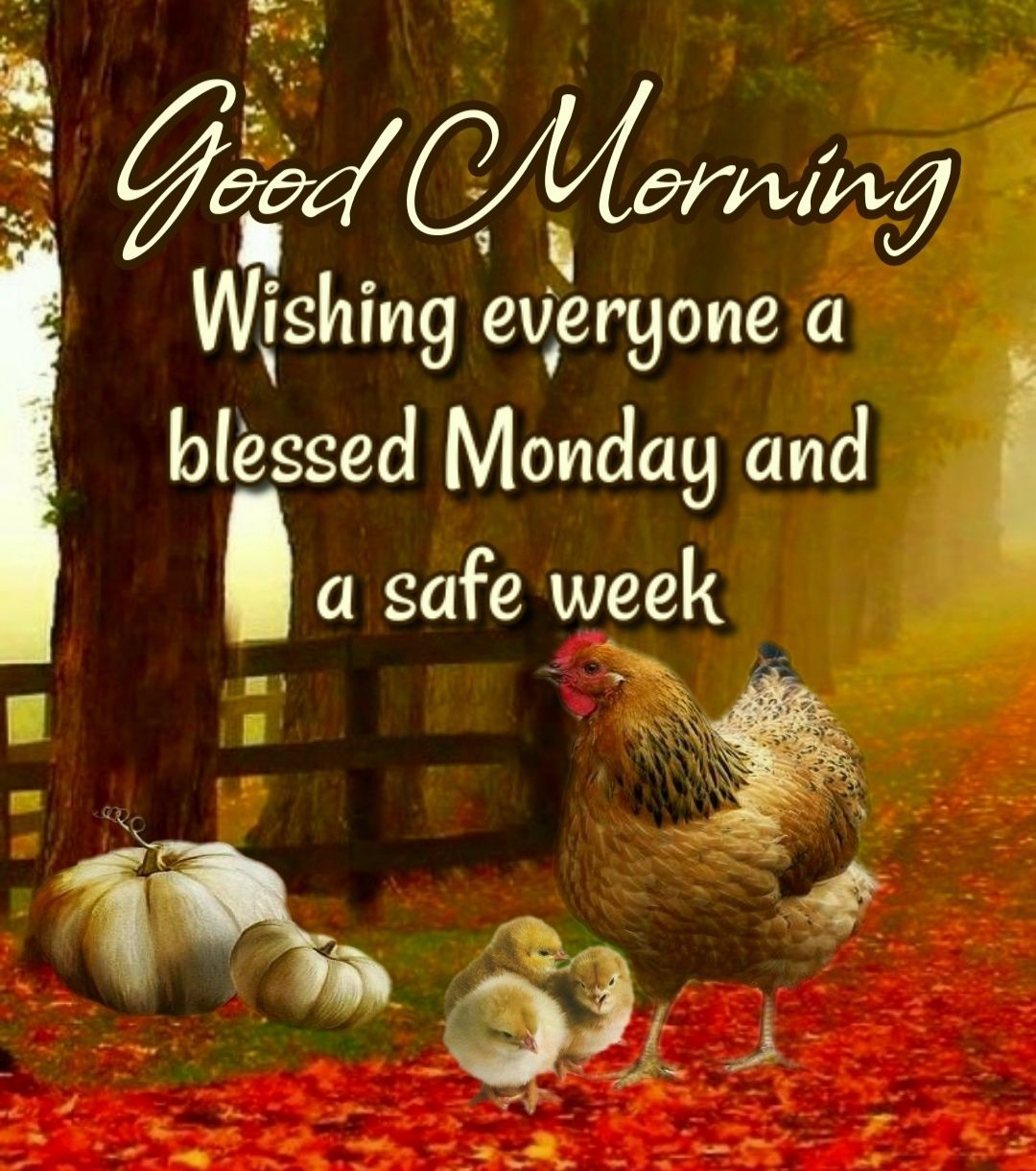 Wishing Everyone A Blessed Monday And A Safe Week Pictures, Photos, and ...