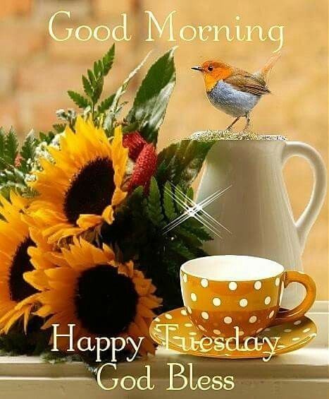 Sunflowers & Tea - Good Morning Happy Tuesday Pictures, Photos, and ...