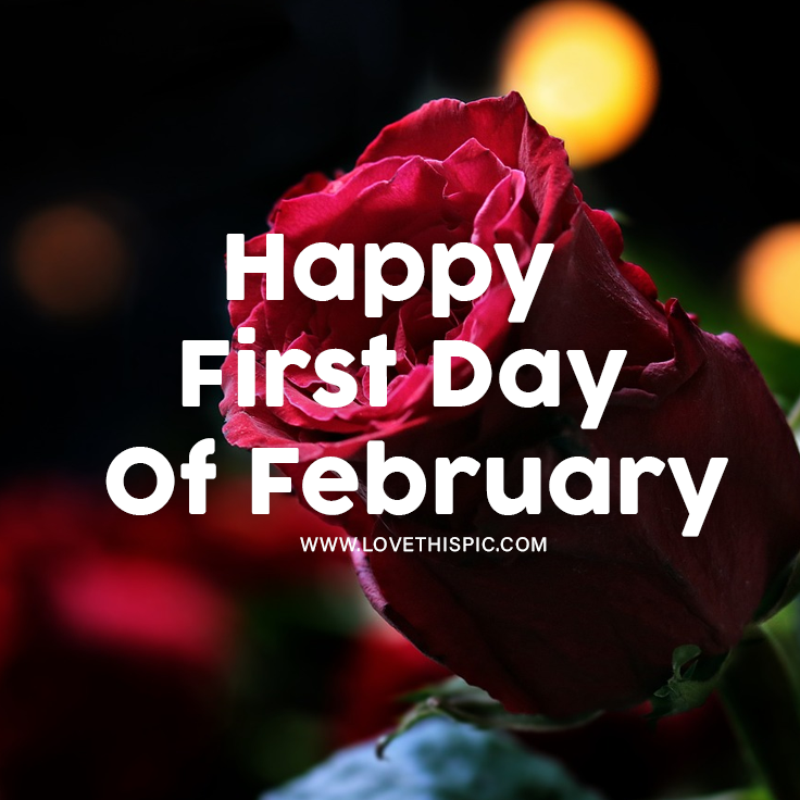 Happy First Day Of February Rose Pictures, Photos, and Images for ...