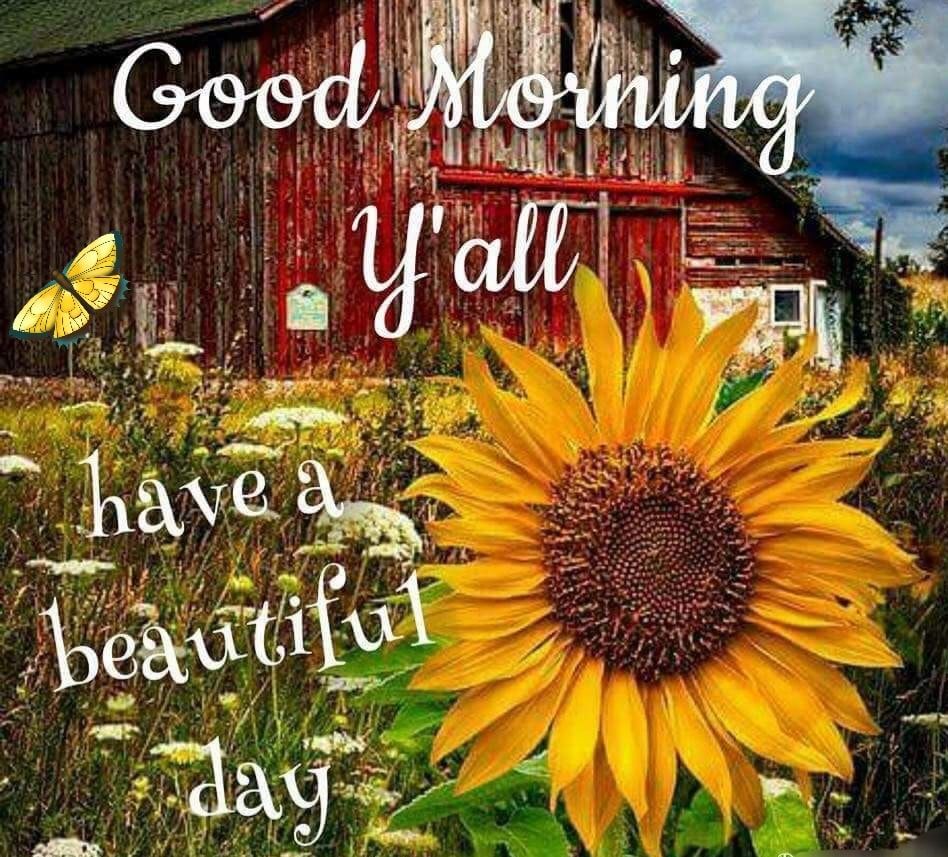 Top 95+ Pictures Good Morning Farm Images Excellent