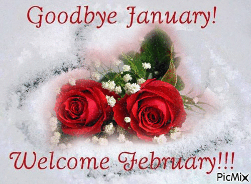 Rose In Snow Heart - Goodbye January, Welcome February Pictures, Photos ...