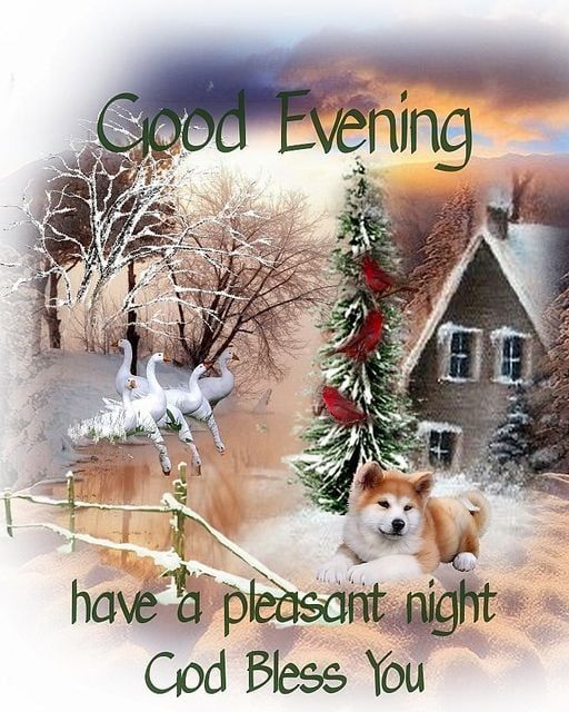 Have A Pleasant Night Pictures, Photos, and Images for Facebook, Tumblr ...