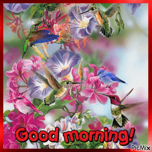Flying Hummingbirds - Good Morning Gifs Pictures, Photos, and Images ...