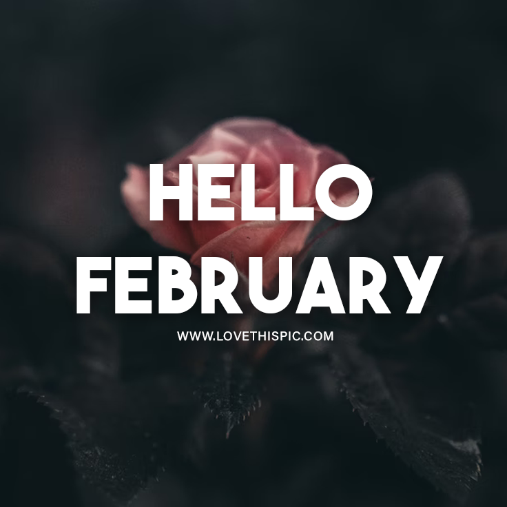 Pink Rose Hello February Quote Pictures, Photos, and Images for ...