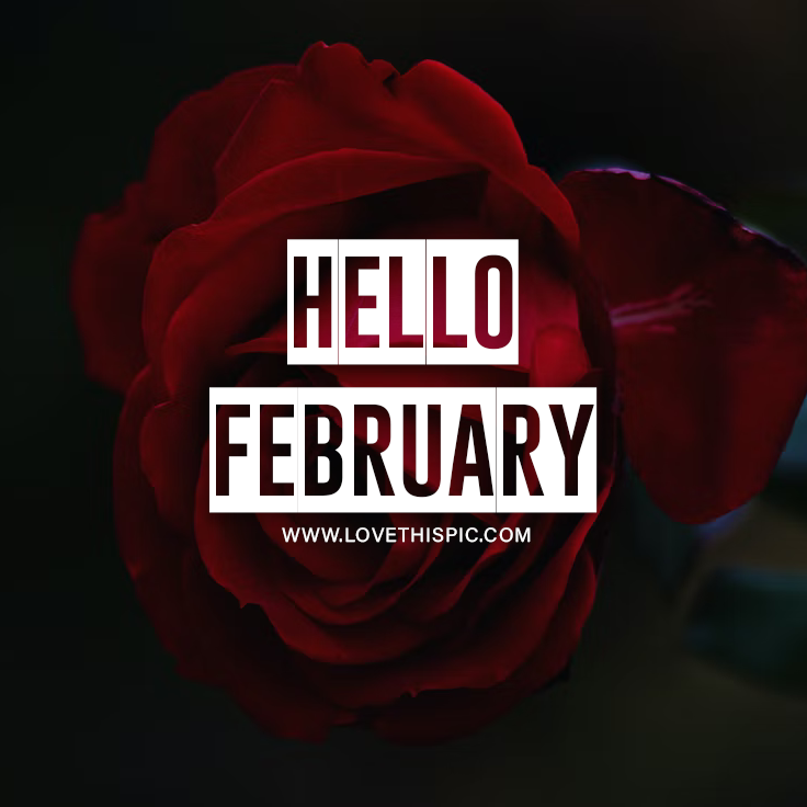 Dark Red Rose - Hello February Pictures, Photos, and Images for ...