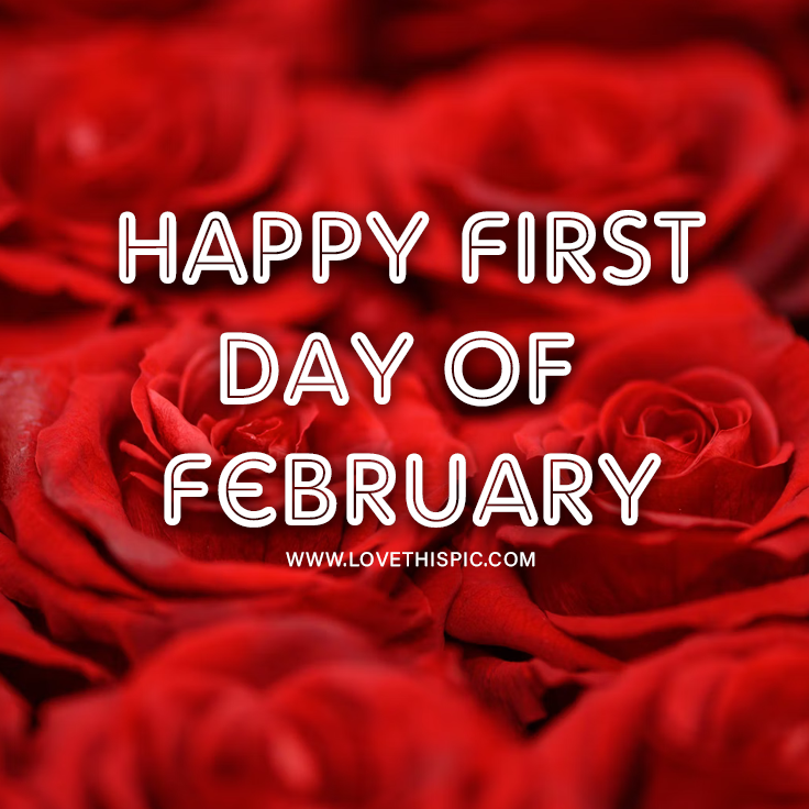 Blooming Red Roses - Happy First Day Of February Pictures, Photos, and ...