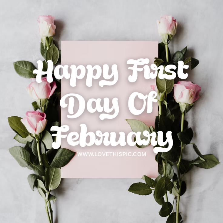 Lined Up Roses On Frame - Happy First Day Of February Pictures, Photos ...