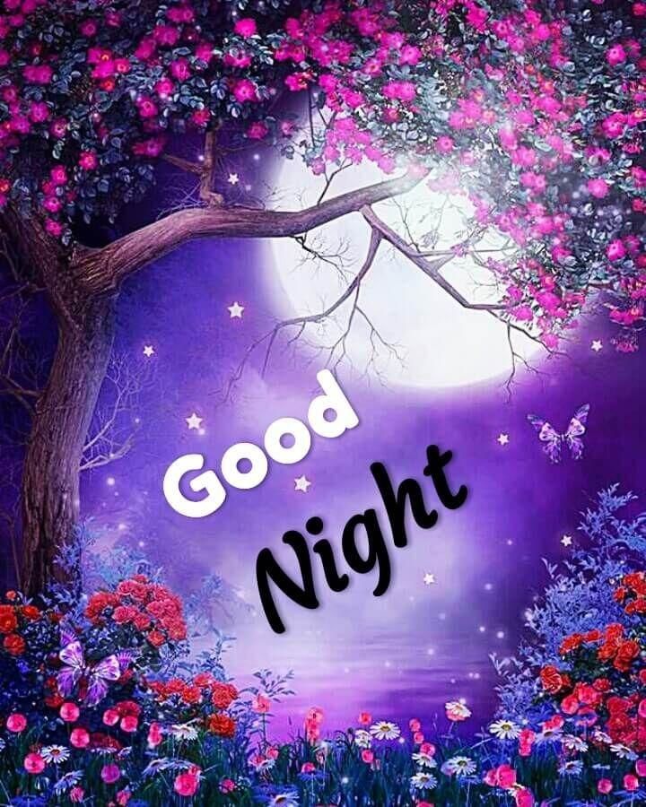 Good Night Purple Flowers