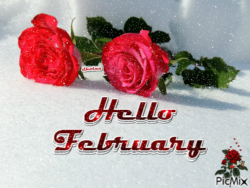 Fall Snow On Roses - Hello February Pictures, Photos, and Images for ...