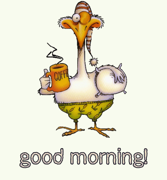 Sleepy Chicken With Coffee - Good Morning! Pictures, Photos, and Images ...