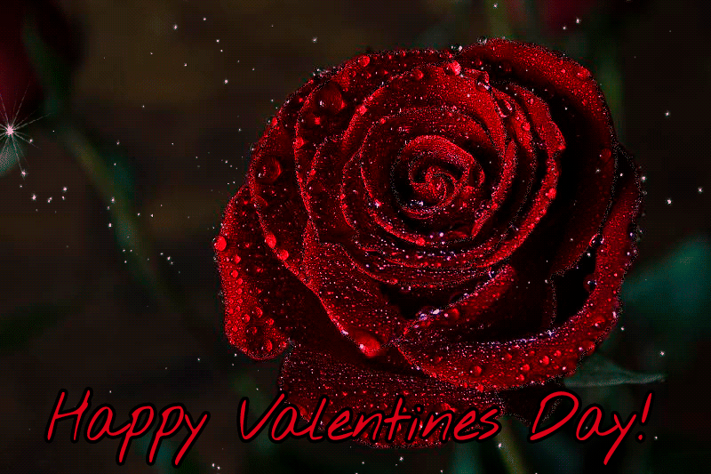 Sparkle Happy Valentines Day Rose Pictures, Photos, and Images for ...