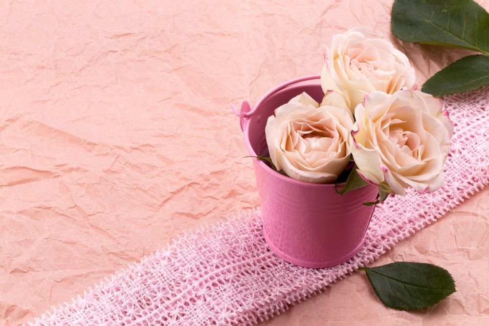 White Roses In Pink Bucket Pictures, Photos, and Images for Facebook ...