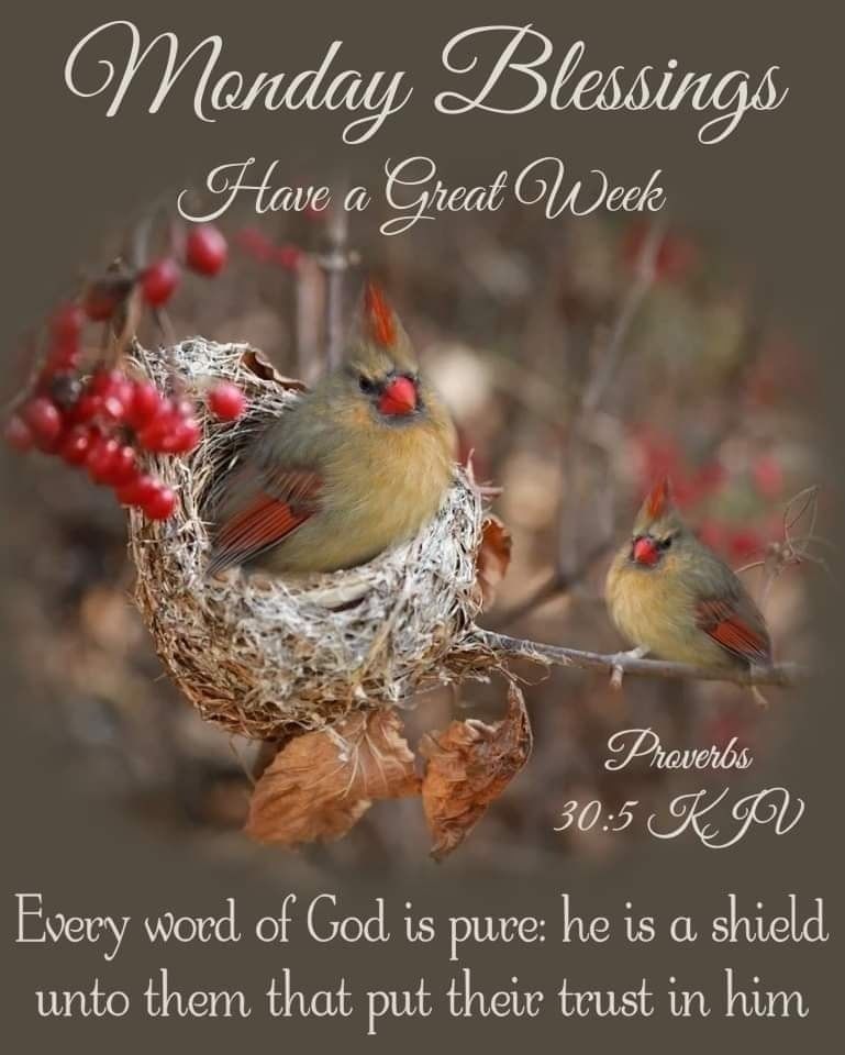 Proverbs 30:5 - Monday Blessings Pictures, Photos, and Images for ...