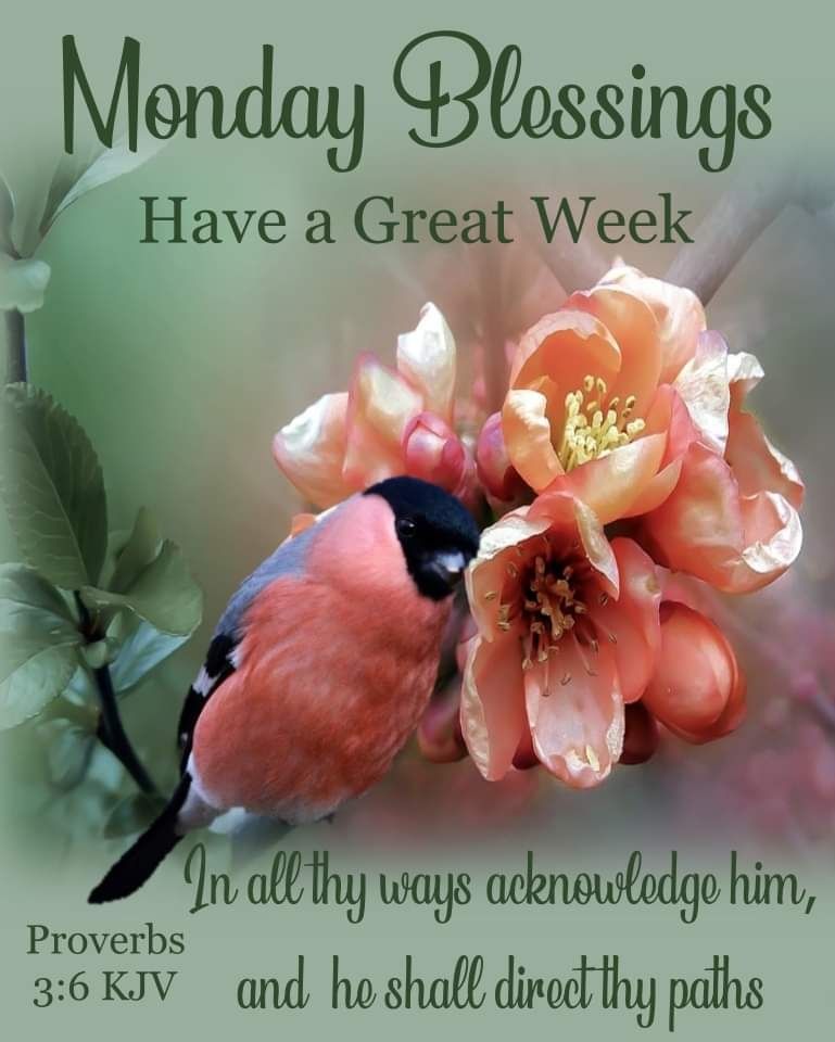 Bird And Flower - Monday Blessings Pictures, Photos, and Images for ...