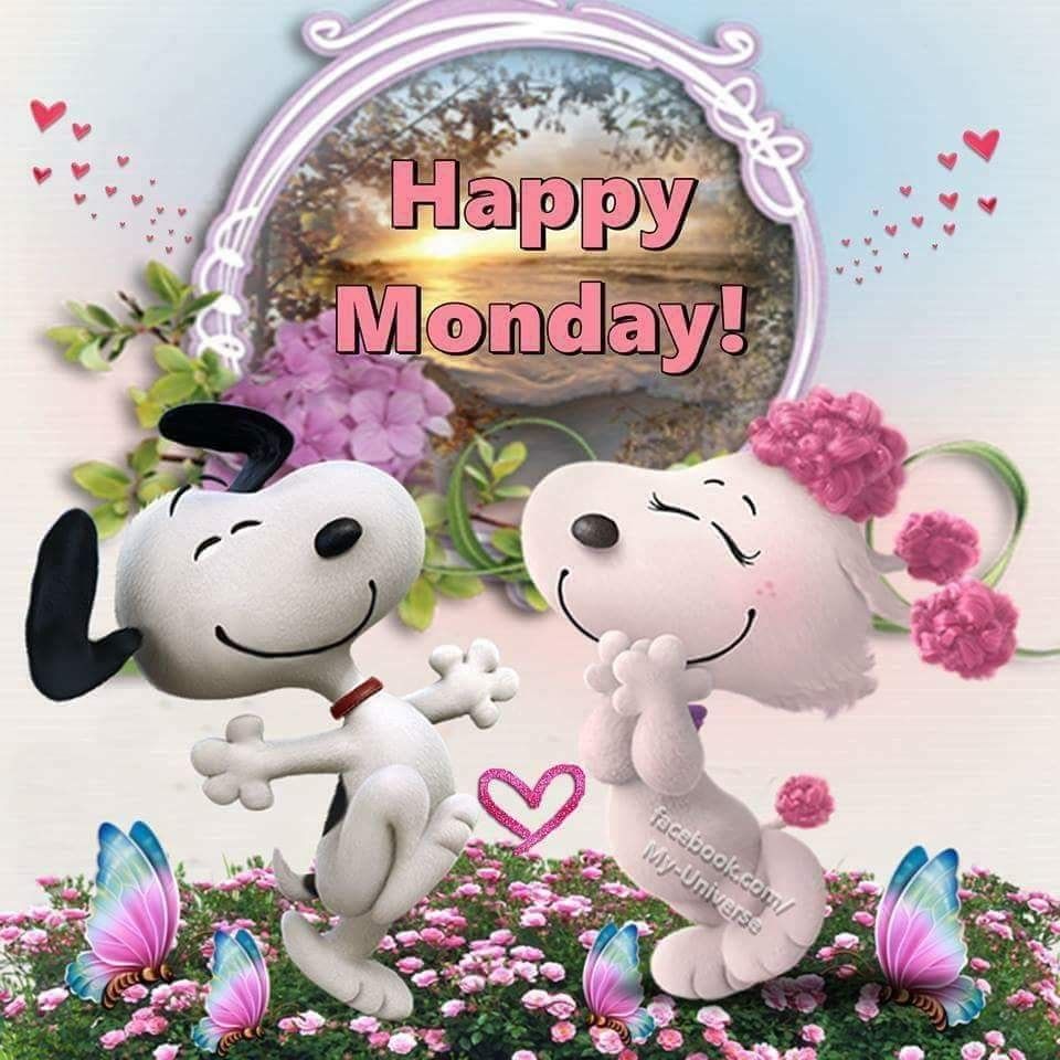 Happy Monday! Pictures, Photos, and Images for Facebook, Tumblr ...