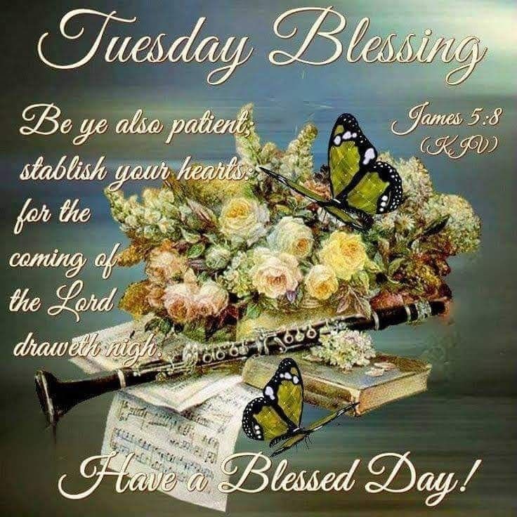 James 5:8 Tuesday Blessing Pictures, Photos, and Images for Facebook ...