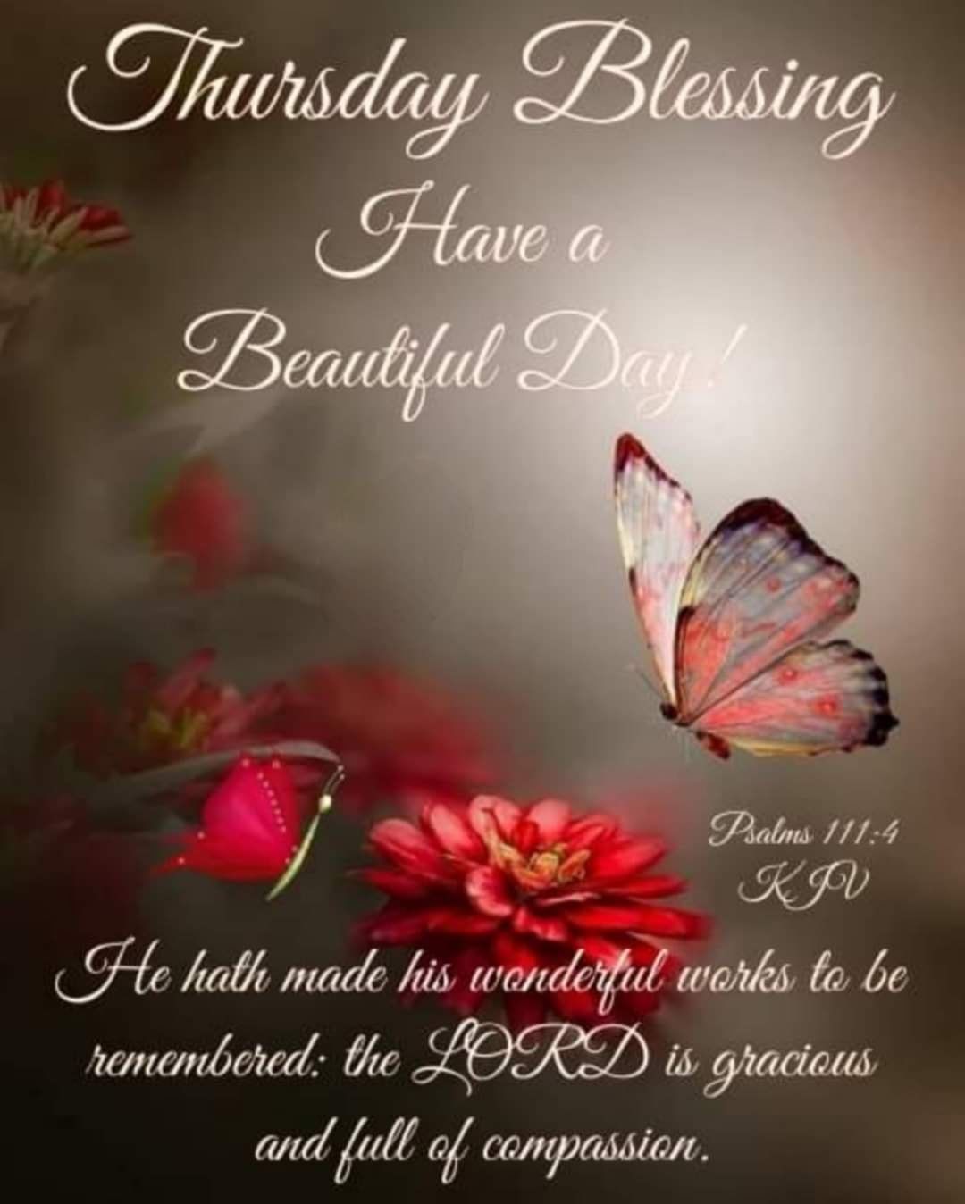 Butterfly Thursday Blessing Pictures, Photos, and Images for Facebook ...