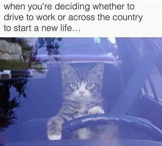 When You're Deciding Whether To Drive To Work Or Across The Country To ...