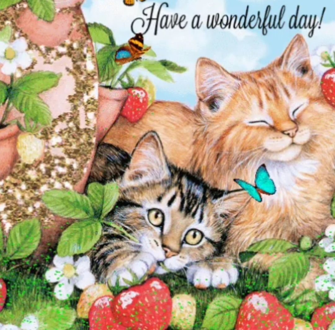 Have A Wonderful Day Pictures, Photos, and Images for Facebook, Tumblr ...