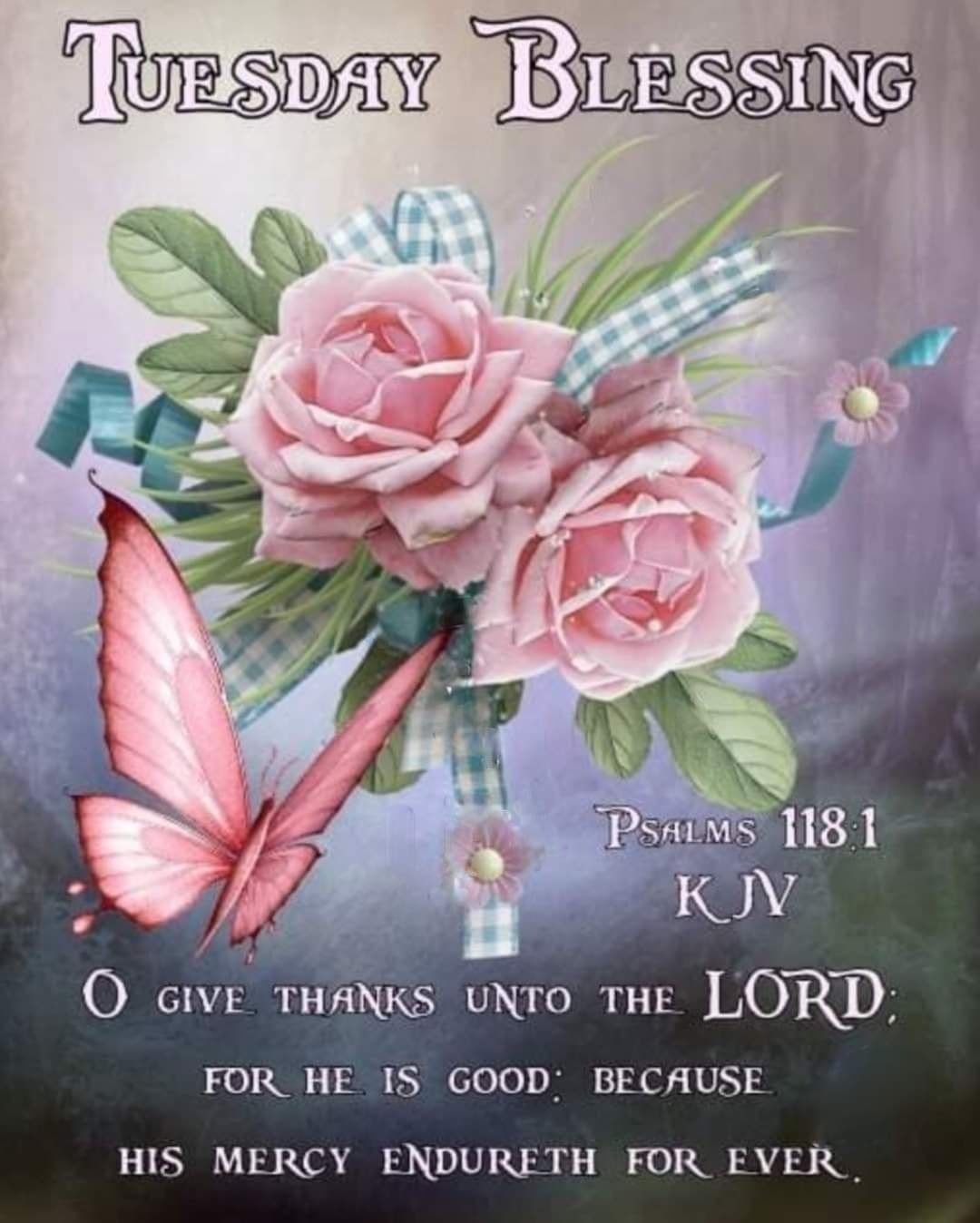 Pink Rose And Butterfly - Tuesday Blessing Pictures, Photos, and Images ...