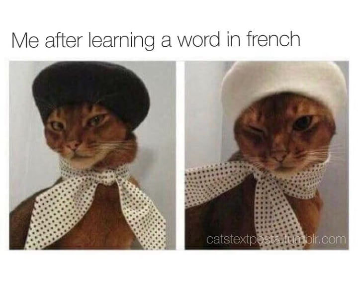 Me After Learning A Word In French Pictures, Photos, and Images for ...