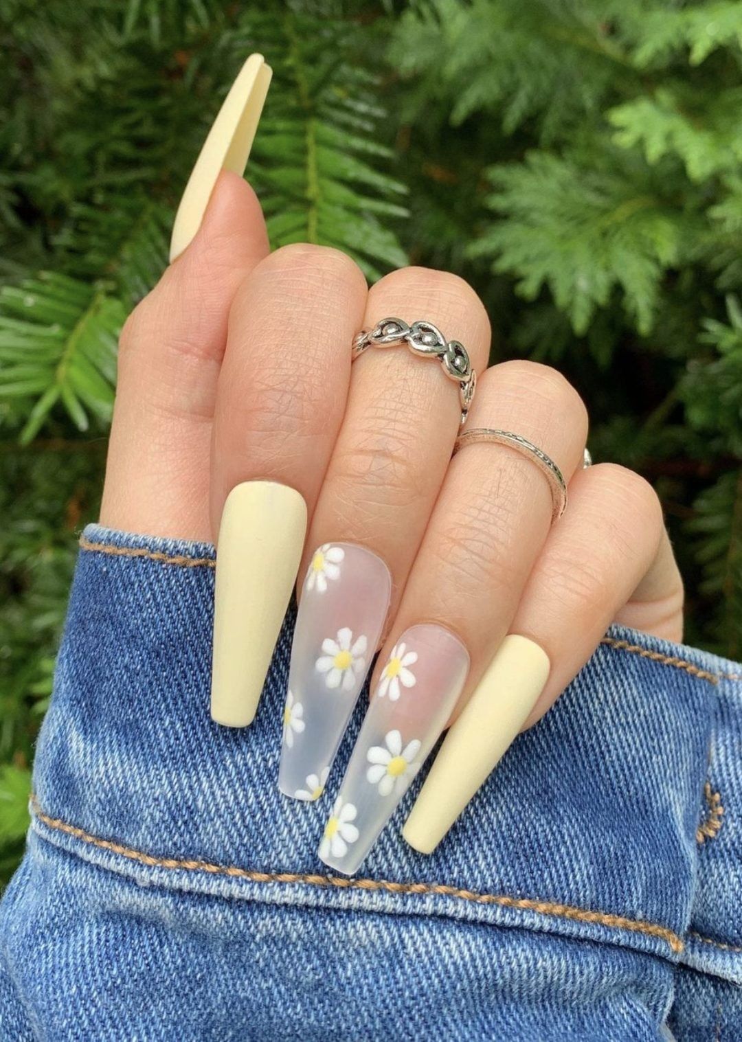 Daisy Fields Pictures, Photos, and Images for Facebook, Tumblr ...