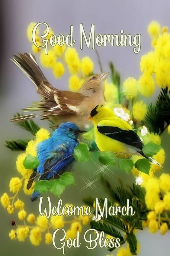 Good Morning & Welcome March Pictures, Photos, and Images for Facebook ...