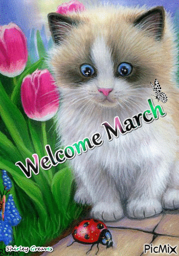Welcome March Gif Pictures, Photos, and Images for Facebook, Tumblr ...