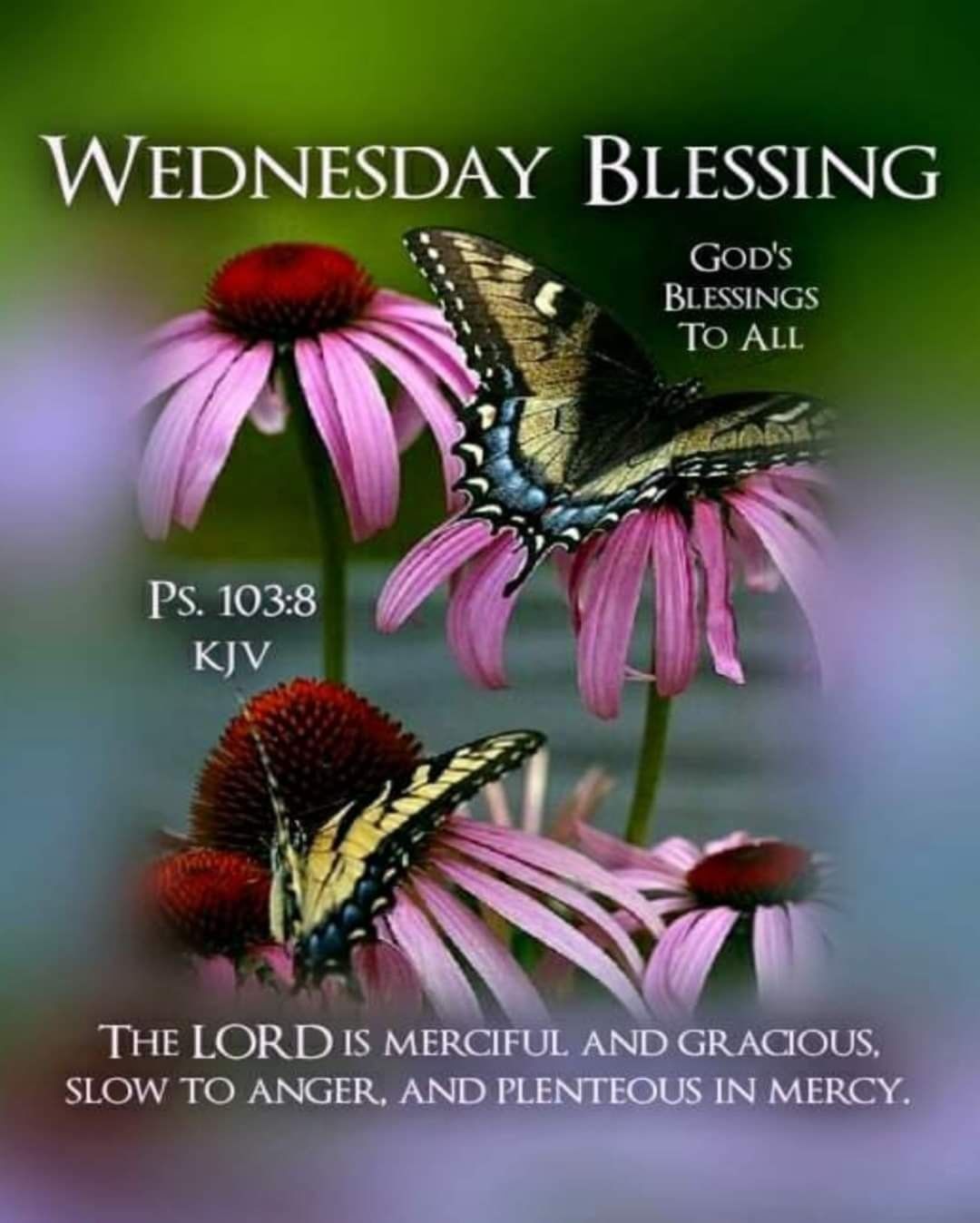 The Lord Is Merciful And Gracious, Slow To Anger And Plenteous In Mercy ...