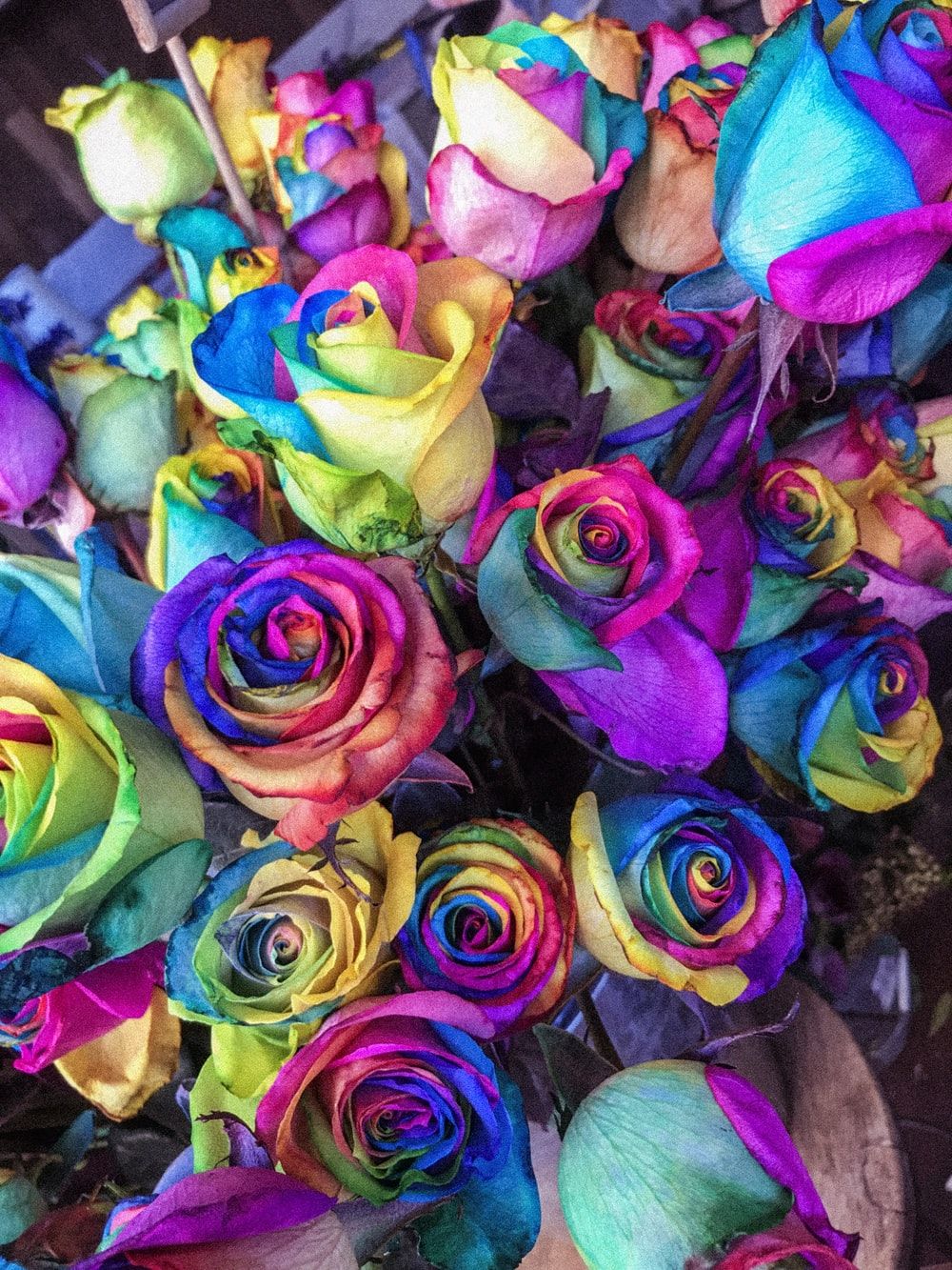Rainbow Colored Rose Bouquet Pictures, Photos, and Images for Facebook ...