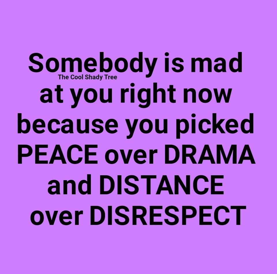 Somebody Is Mad At You Right Now Because You Picked Peace Over Drama ...