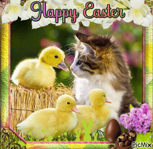 Baby Chicks And Kitty - Happy Easter Gif Pictures, Photos, and Images ...