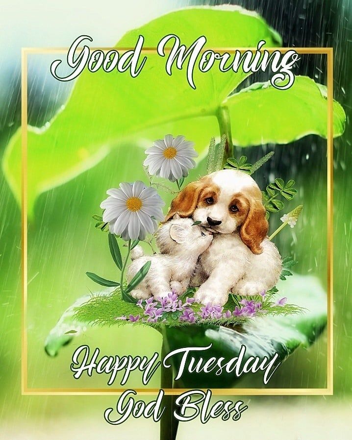Happy Tuesday, God Bless. Good Morning Pictures, Photos, and Images for ...