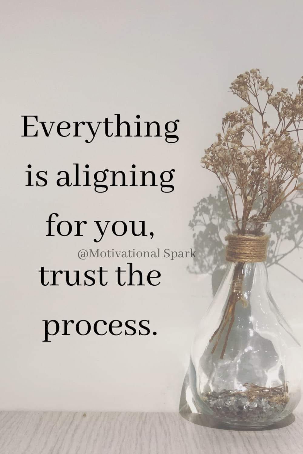 Everything Is Aligning For You, Trust The Process. Pictures, Photos ...