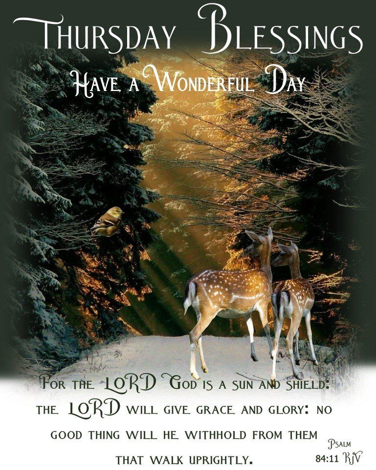 The Lord God Is A Sun And Shield - Thursday Blessings Pictures, Photos ...