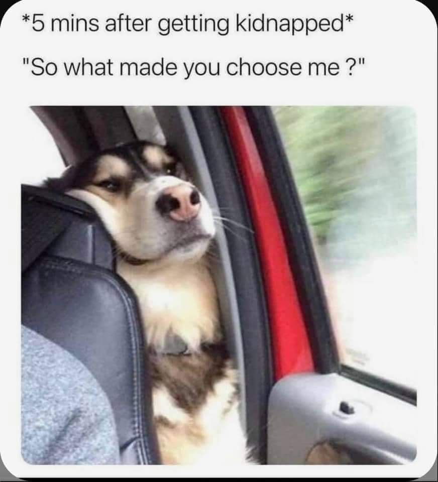 So What Made You Choose Me? Pictures, Photos, and Images for Facebook ...