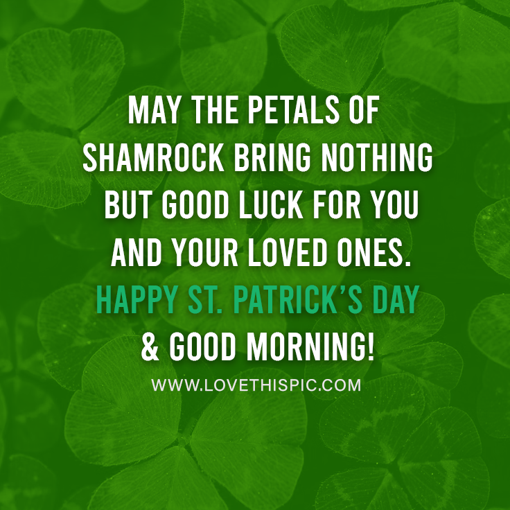 May The Petals Of Shamrock Bring Nothing But Good Luck For You And Your ...