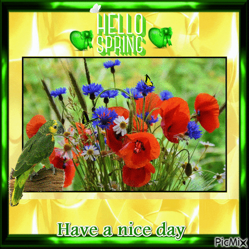 Have A Nice Day, Hello Spring Pictures, Photos, and Images for Facebook ...