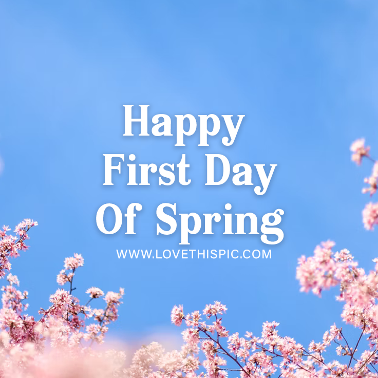 Cherry Blossoms In Sky - Happy First Day Of Spring Pictures, Photos ...