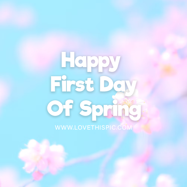 Pink Cherry Blossom - Happy First Day Of Spring Pictures, Photos, and ...