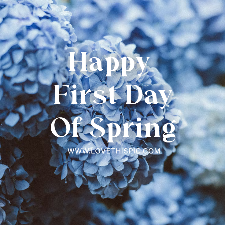 Blue Flowers - Happy First Day Of Spring Pictures, Photos, and Images ...