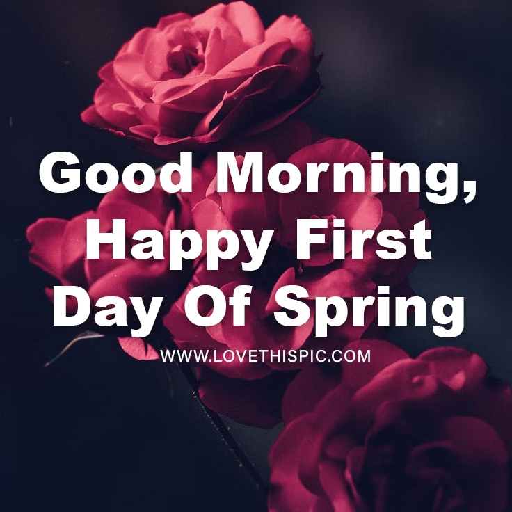 Good Morning, Happy First Day Of Spring Pictures, Photos, and Images ...